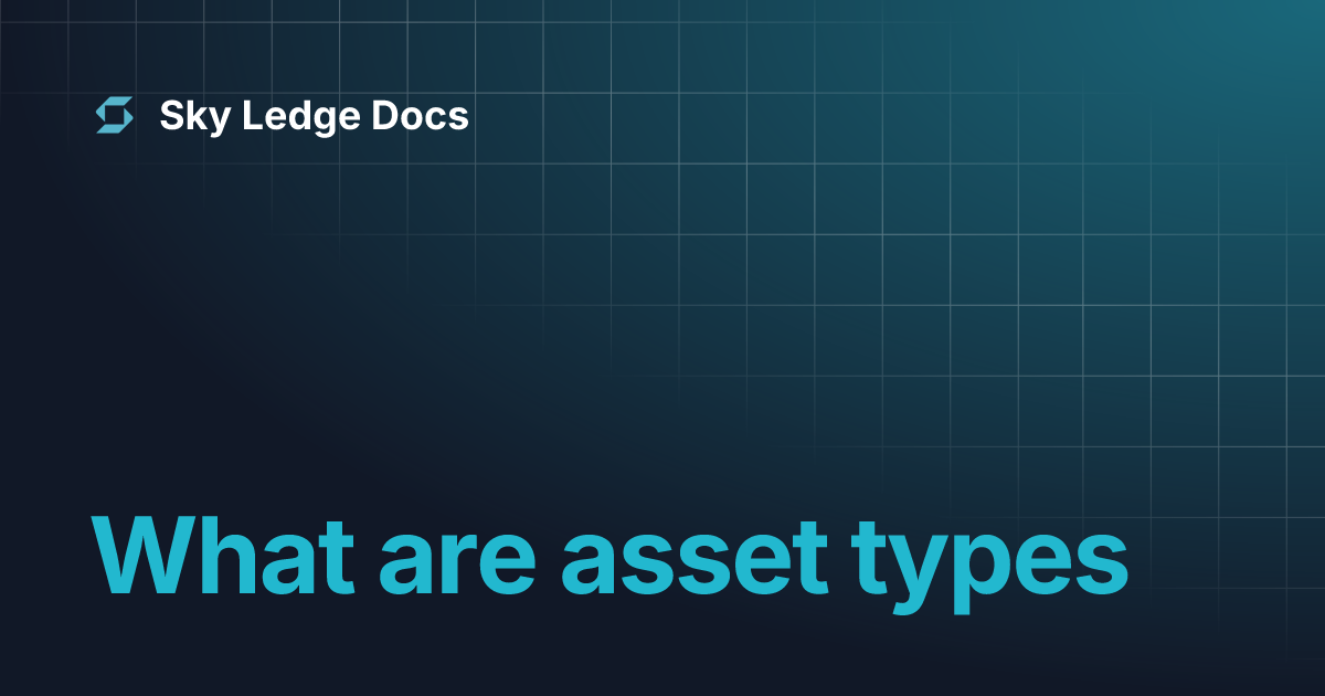 What are asset types | Sky Ledge Docs